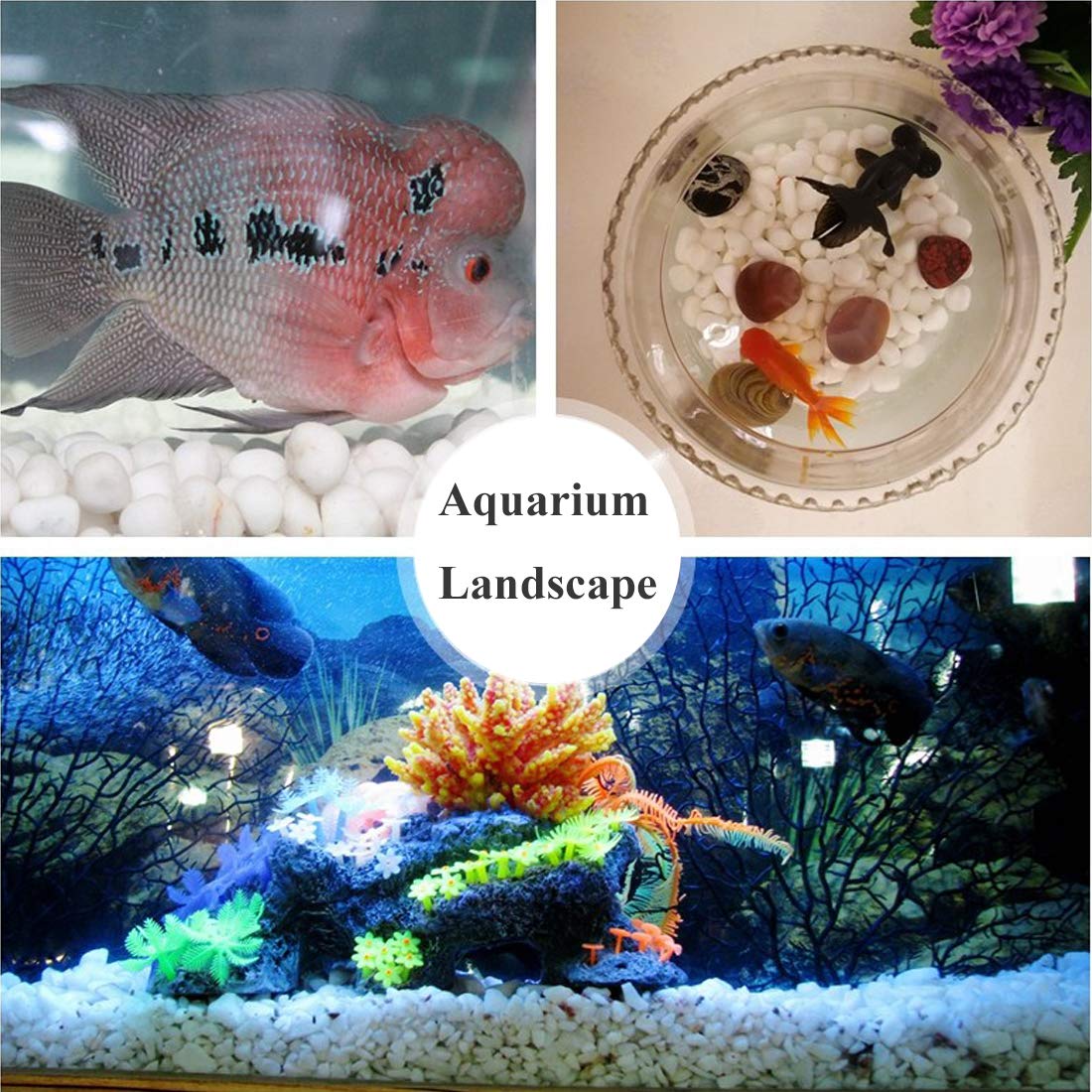 JZMYXA Aquarium Decorative Sands White Gravel Pebbles Fit for Aquariums Succulent Plants Terrarium Landscape, 2 Pounds