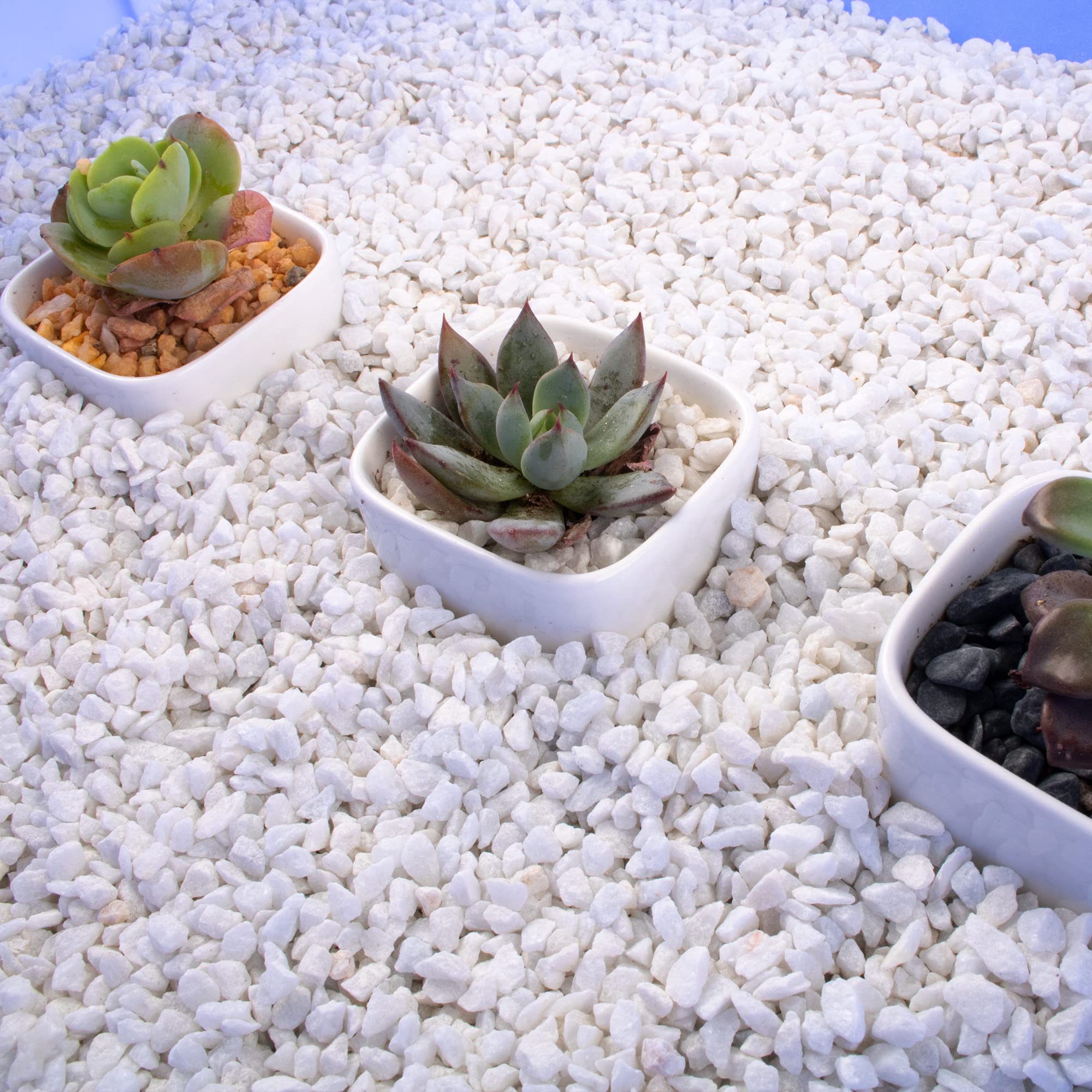 Anothera 6mm-8mm Succulent and Cactus Bonsai DIY Rocks, White Onyx, Gravel for Terrarium, Fairy Gardening, Top Dressing (3LB)