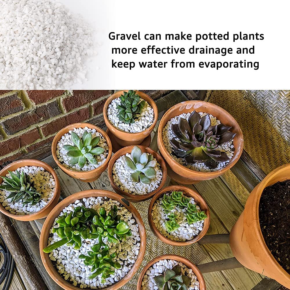 Anothera 6mm-8mm Succulent and Cactus Bonsai DIY Rocks, White Onyx, Gravel for Terrarium, Fairy Gardening, Top Dressing (3LB)