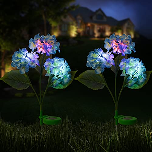 Outdoor Solar Lights, Doingart 2 Pack Hydrangea Solar Garden Lights with 3 Hydrangea Flowers, Waterproof Realistic and Muti-Color Change Outdoor Lights for Garden Lawn Backyard Decoration (Blue)