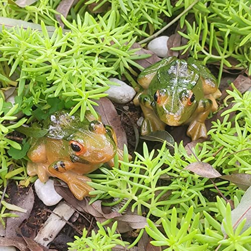 4 Pieces Miniature Frog Statue, Outdoor Garden Frog Figurines Decoration, Mini Cute Frog Figures for Patio Yard Micro Landscape Fairy Garden Ornaments