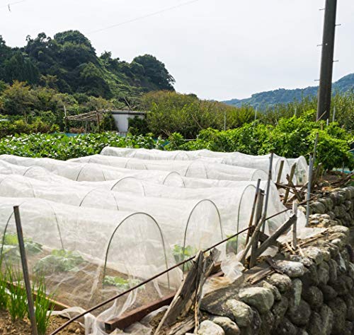 Garden Netting Pest Barrier: 4'x10'(2 Pack) Fine Bug Netting for Garden Protection Row Cover Raised Bed Screen Mesh Greenhouse Mosquito Net, Protecting Tree Plants Vegetable Flowers Fruits