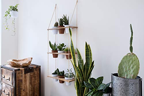 kimisty Wall Hanging Herb Planters, 3 Tiered Vertical Planter Shelf with Metal Pot Set, Indoor Garden, Wood Herb Garden for Kitchen, Vertical Hanging Planters Wall Hanging - Terracotta & White Pots