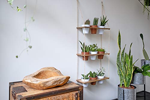 kimisty Wall Hanging Herb Planters, 3 Tiered Vertical Planter Shelf with Metal Pot Set, Indoor Garden, Wood Herb Garden for Kitchen, Vertical Hanging Planters Wall Hanging - Terracotta & White Pots