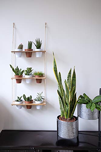 kimisty Wall Hanging Herb Planters, 3 Tiered Vertical Planter Shelf with Metal Pot Set, Indoor Garden, Wood Herb Garden for Kitchen, Vertical Hanging Planters Wall Hanging - Terracotta & White Pots