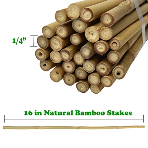 Jollybower 16 in Bamboo Stakes, Plant Stakes, Natural Garden Stakes for Tomato, Bean, Flowers,Trees Potted and Climbing Plant Support-Pack of 30 Bamboo Stick, Diameter of 1/4β