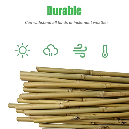 Jollybower 16 in Bamboo Stakes, Plant Stakes, Natural Garden Stakes for Tomato, Bean, Flowers,Trees Potted and Climbing Plant Support-Pack of 30 Bamboo Stick, Diameter of 1/4β