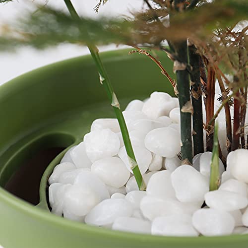 SAROSORA Pebbles River Rocks,White Stones - 1.8LB Decorative Polished Jade Pebbles Garden Decor for Plants, Aquarium, Bonsai,Vase(1.8, White)