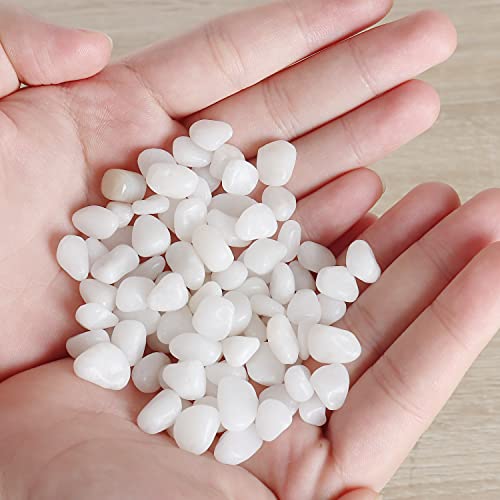 SAROSORA Pebbles River Rocks,White Stones - 1.8LB Decorative Polished Jade Pebbles Garden Decor for Plants, Aquarium, Bonsai,Vase(1.8, White)
