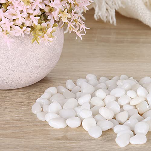 SAROSORA Pebbles River Rocks,White Stones - 1.8LB Decorative Polished Jade Pebbles Garden Decor for Plants, Aquarium, Bonsai,Vase(1.8, White)