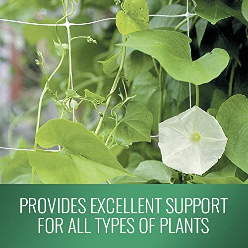 DL Wholesale VineLine Trellis Netting Garden Plant Plastic Trellis Net Roll for Climbing Plants Grow Support Fruits Vegetables, White, 5 ft x 30'