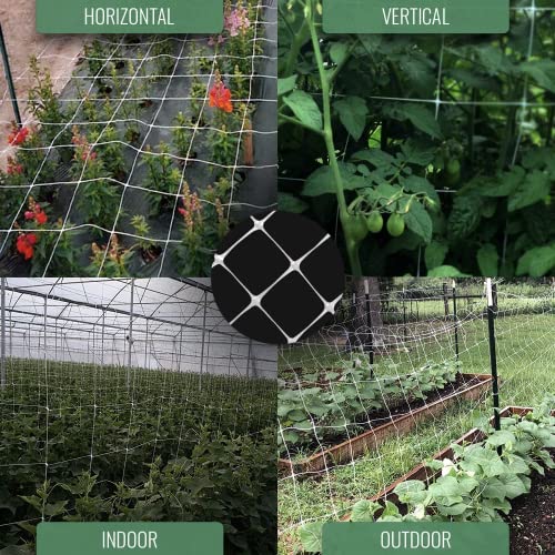 DL Wholesale VineLine Trellis Netting Garden Plant Plastic Trellis Net Roll for Climbing Plants Grow Support Fruits Vegetables, White, 5 ft x 30'
