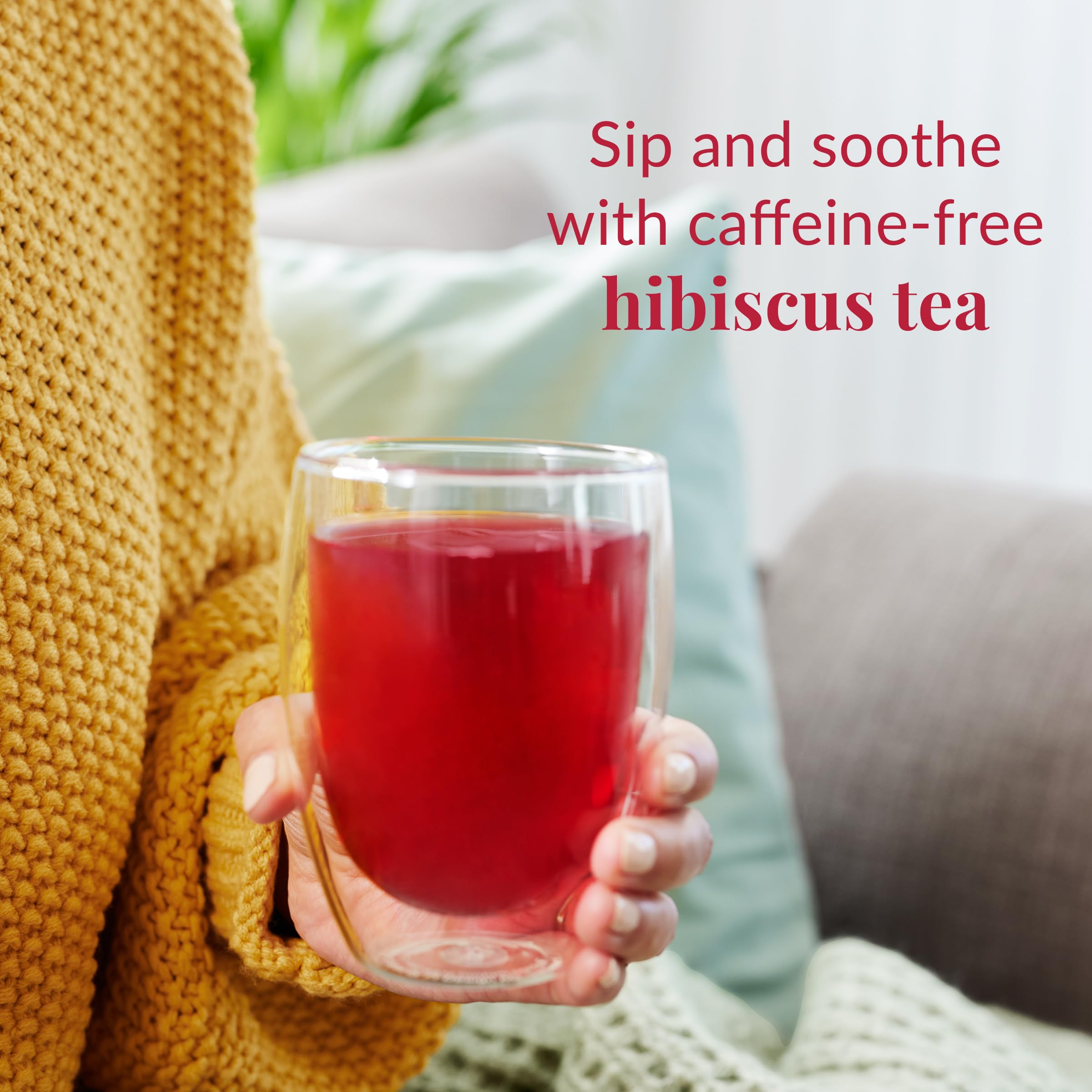 The Republic of Tea Hibiscus Blueberry Superflower Herbal Tea, 36 Tea Bag Refill