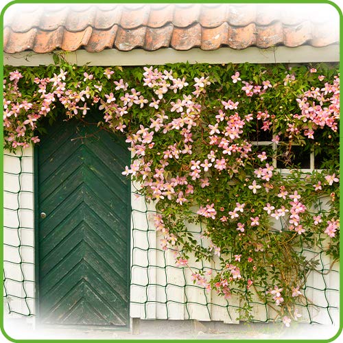 De-Bird: Trellis Netting for Climbing Garden Plants, Grow Garden Flowers, Green Pea and Vine Plants