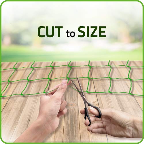 De-Bird: Trellis Netting for Climbing Garden Plants, Grow Garden Flowers, Green Pea and Vine Plants
