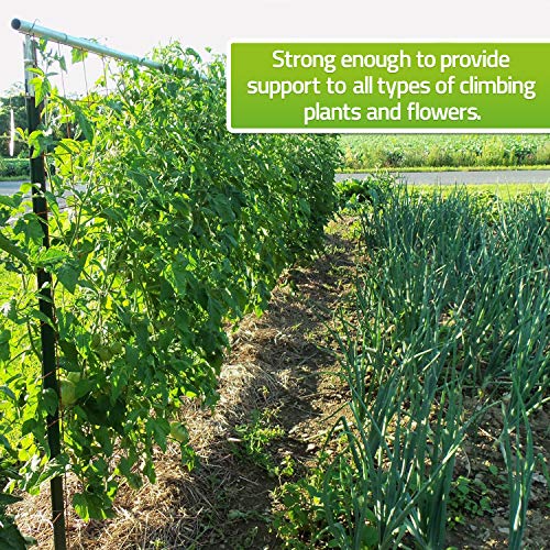 De-Bird: Trellis Netting for Climbing Garden Plants, Grow Garden Flowers, Green Pea and Vine Plants