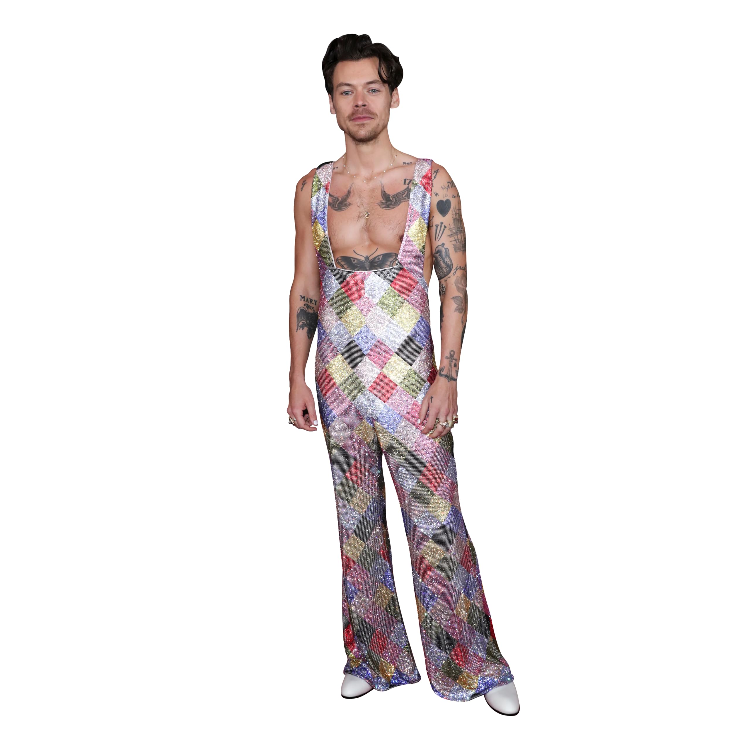 Novelty Native Harry Cardboard Cutout Merch Life Size Poster Standee - Gift for Parties, Events, Bedroom Decor, Office