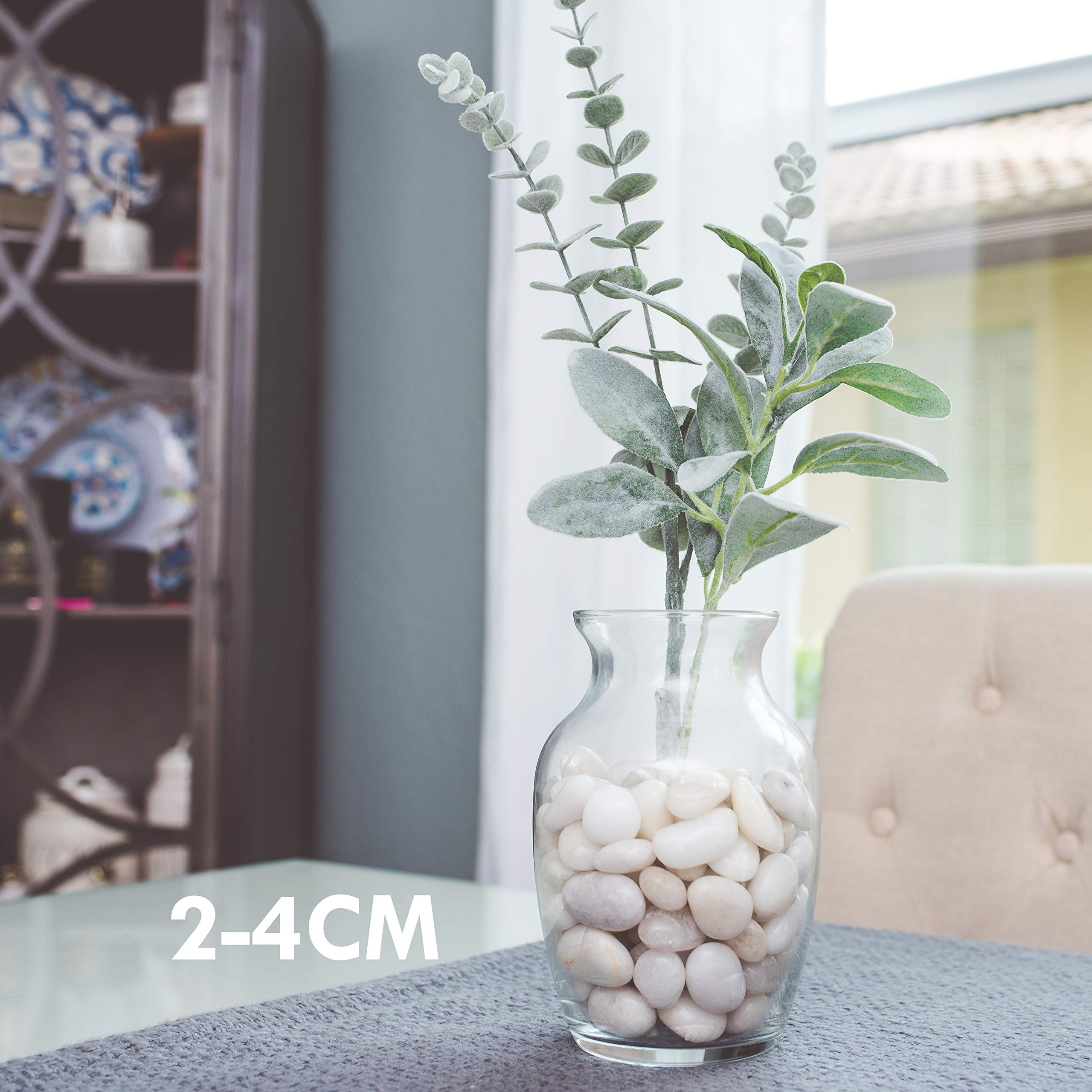 Galashield 5 lbs Approx. 130 White River Rocks Stones for Plants Pebbles for Indoor Plants | Aquarium Fish Tank Rocks | Polished Decorative Rocks for Vases (0.8-1.6 Inches)
