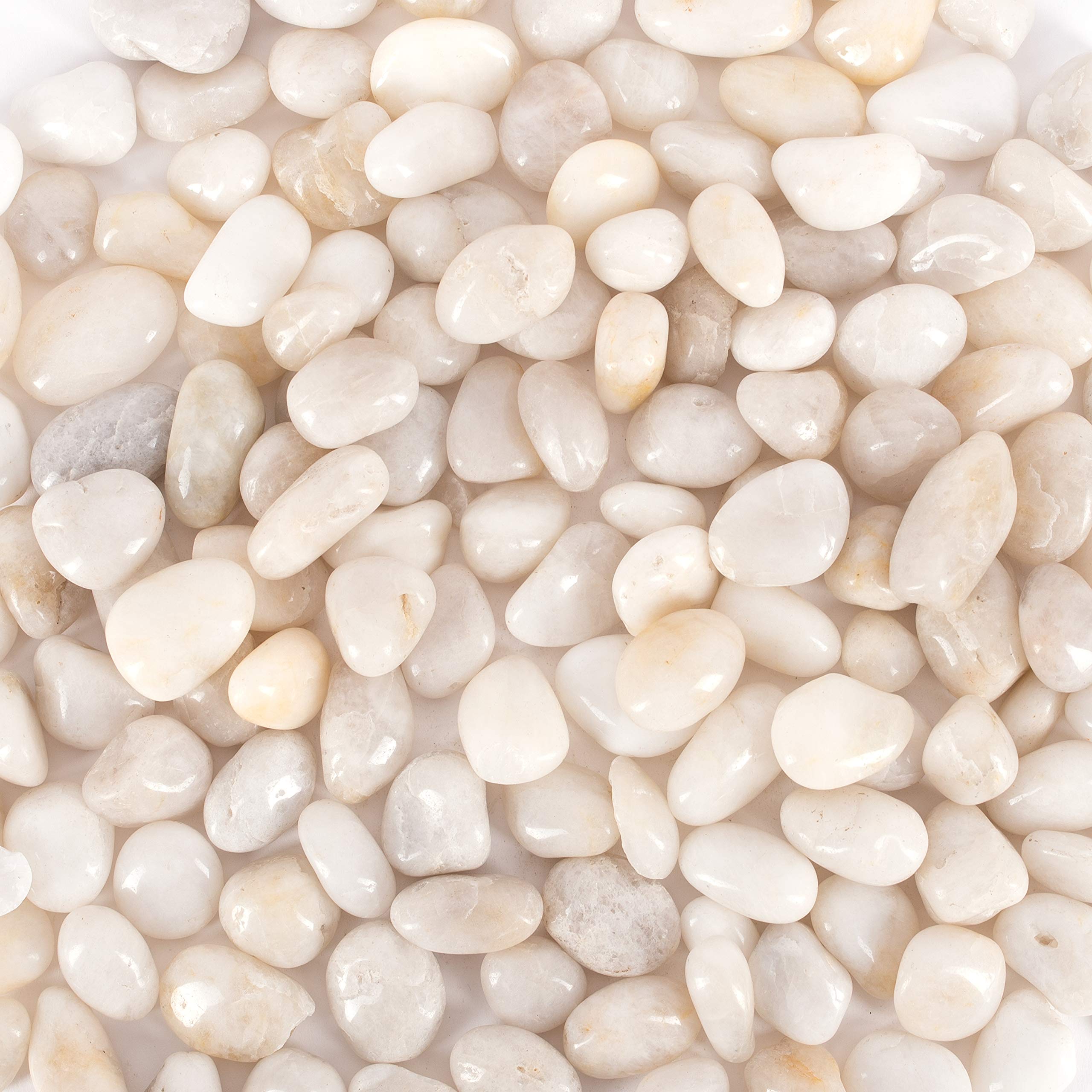 Galashield 5 lbs Approx. 130 White River Rocks Stones for Plants Pebbles for Indoor Plants | Aquarium Fish Tank Rocks | Polished Decorative Rocks for Vases (0.8-1.6 Inches)