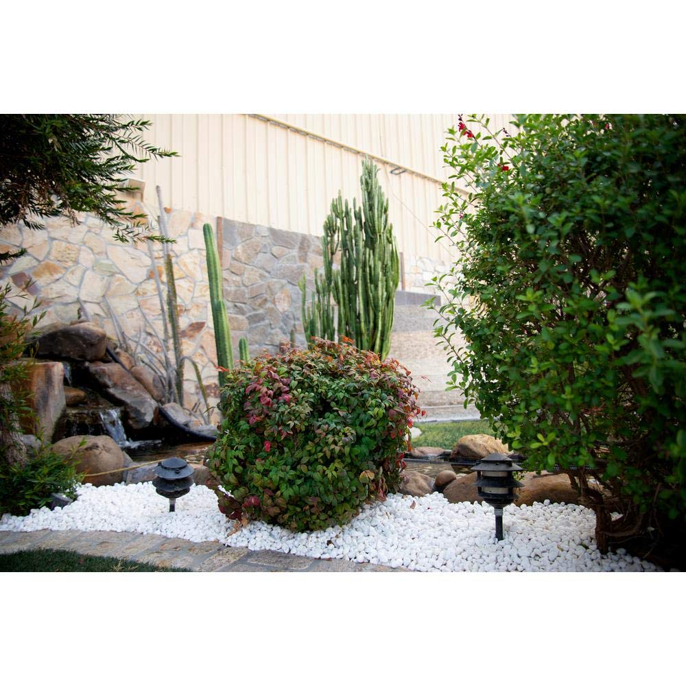 MSI Decorative Tumbled White Pebbles, 0.25 inch - 0.75 inch, 40 lb. Bag