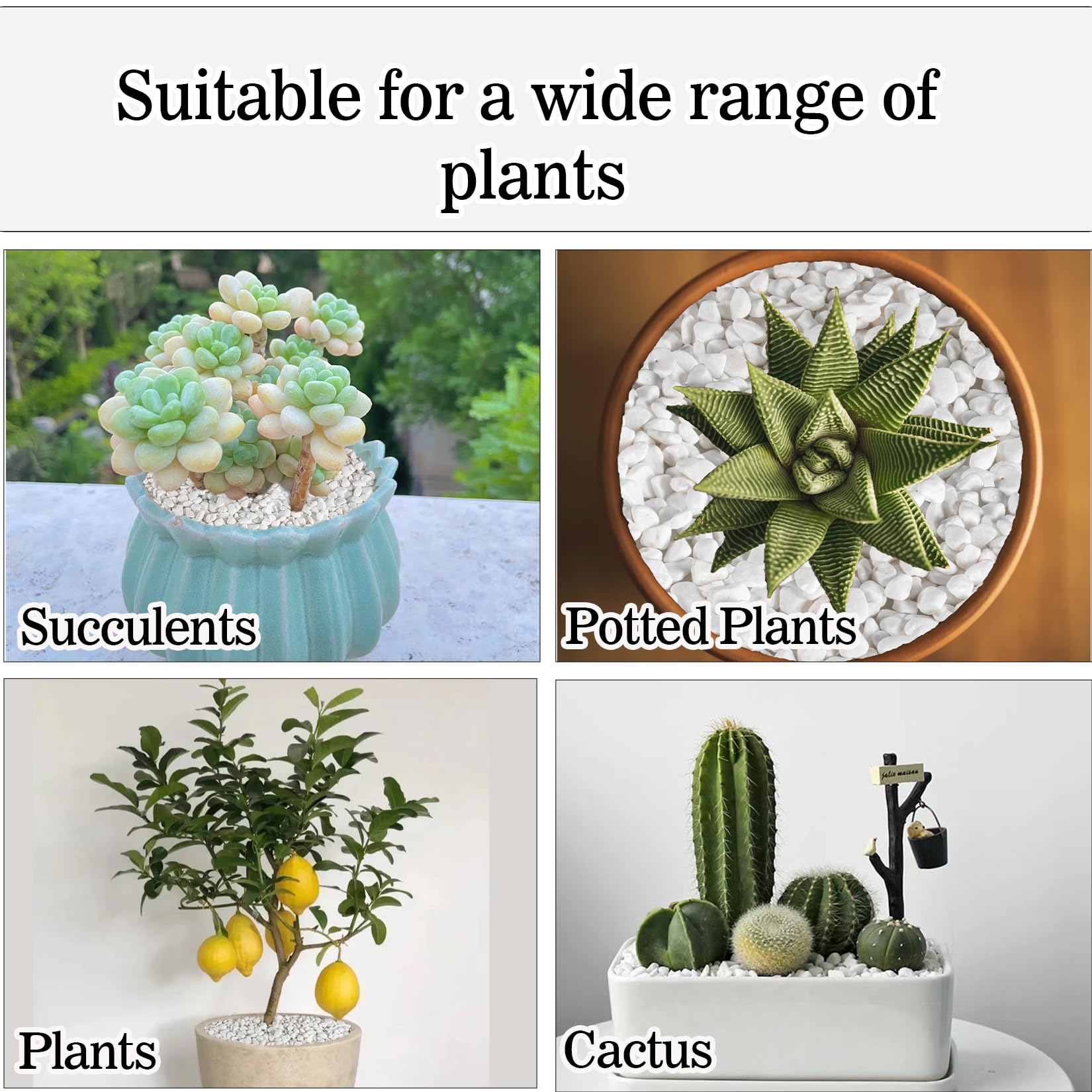 AHSNYLC White Succulent Pebbles - 880G Small White Pebbles Garden Pebbles White Pebbles for Vases,Snow White Pebbles,White Stone White,Aquarium Rocks for Plants,Garden,Fish Tank,Vases, Succulents
