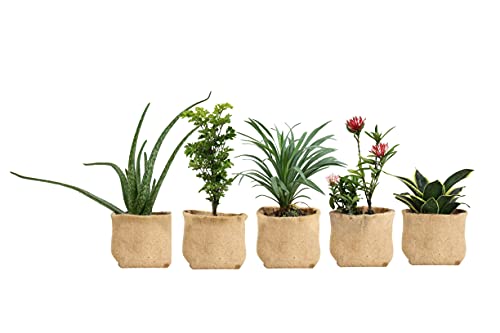 Jute Gardens 5 Pack of I Gallon Biodegradable Grow Pot Nursery Pots - Growing Plants - Plastic Free - Flowers Vegetable Planter - Potting Bags - Jute Fabric - Planting - Smart Design Pots