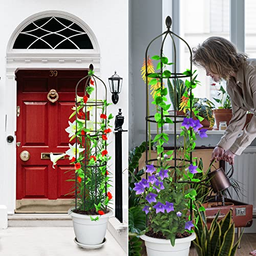 Toolazy Tower Obelisk Garden Trellis for Climbing Plants Outdoor Indoor 6ft Rustproof PE Coated Metal Plant Support Round Obelisk Trellis for Potted Climbing Vine Indoor(Black) (2 Pack)