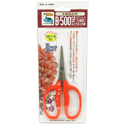CHIKAMASA B-500SF Stainless Steel Fluorine Treated Grape Care Shears