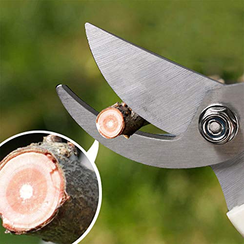 BUGUI Bypass Garden Pruning Shears - 2 Pack, Ultra Lightweight Hand Pruners Make Cut Smooth & Clean, Professional Gardening Scissors for Cutting Live Flowers, Plants, Light Branches.