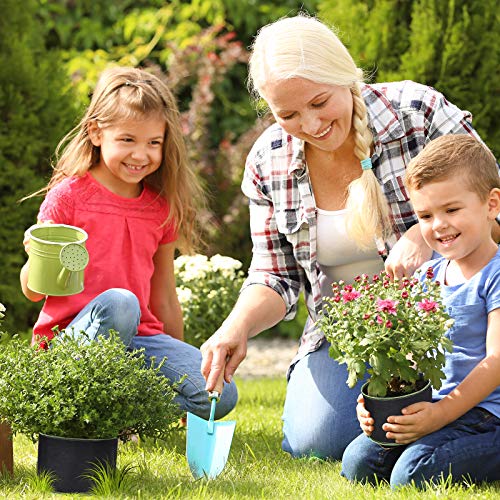 Delxo Garden Grow Bags 1 Gallon 10 Pack Plant Growing Bags Small Fabric Pots for Planting, Vegetable