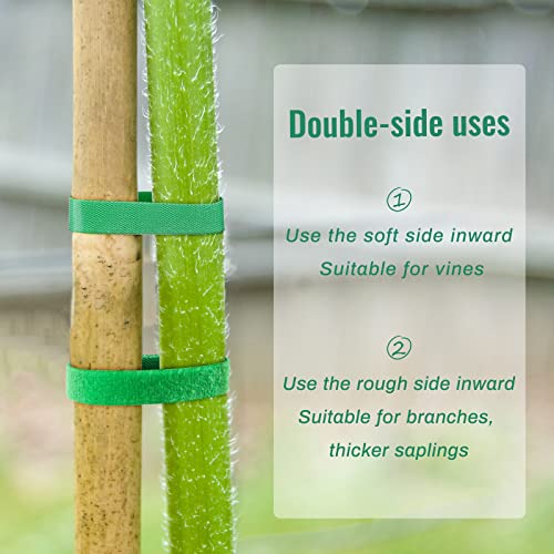 Hahood Plant Ties Reusable Garden Tape Adjustable Plant Support for Effective Growing Nylon Plant Tie Strap for Flowers, Tomato, Vines, Tree (75 Feet x 0.47 Inches, Green)