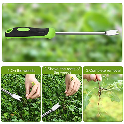 Hand Weeder Tool Garden Weeding Tool Gardening Weeder Tool with Ergonomic Handle, Stainless Steel Garden Lawn Farmland Transplant Gardening Plant Tool(2 Pronged Fork, 2 Pieces)