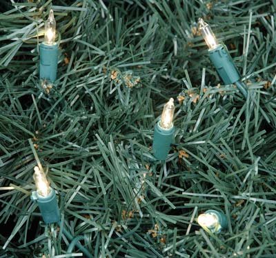Novelty Lights 20 Light Clear Christmas Craft Mini Light Set, Green Wire, 8' Long