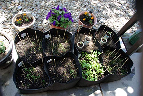 2 Pack Fabric Raised Garden Beds 2FT X 2FT 4 Holes Square Fabric Raised Planting Bed for Vegetables Outdoor and Indoor