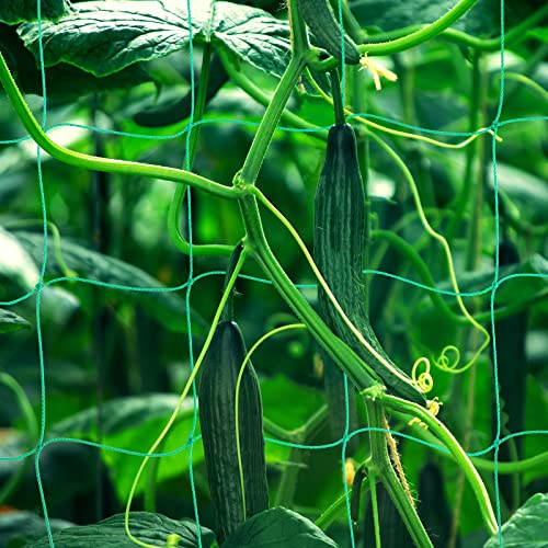 Trellis Netting for Climbing Plants, 6.6 x 16 Ft Cucumber Trellis Heavy Duty Garden Vegetables Grow Net for Fruits, Bean, Tomato, Garden Plants