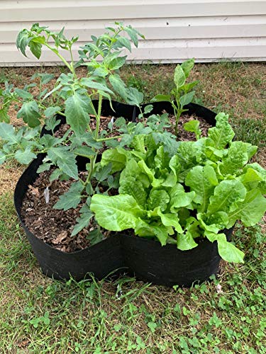 2 Pack Fabric Raised Garden Beds 2FT X 2FT 4 Holes Square Fabric Raised Planting Bed for Vegetables Outdoor and Indoor