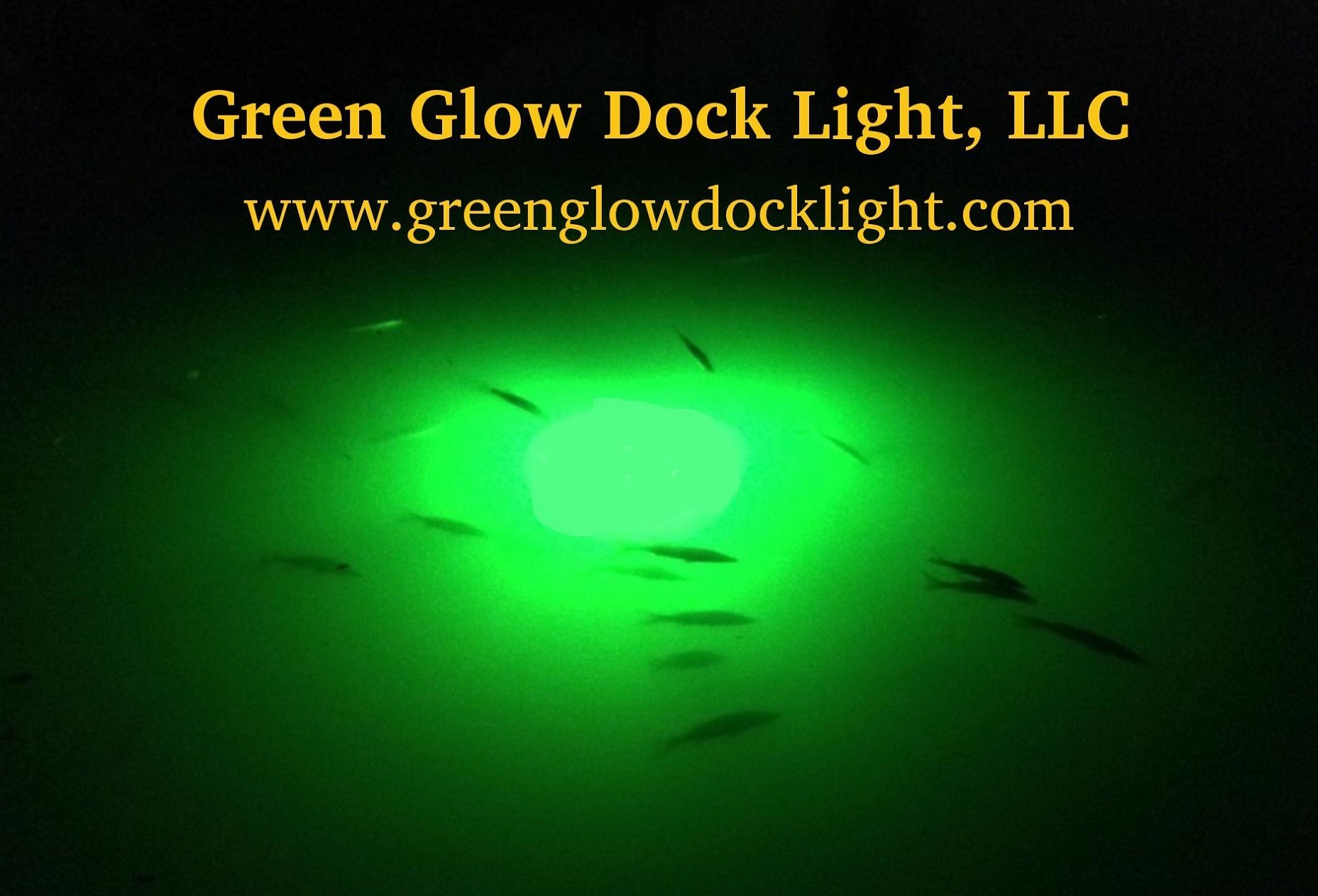 Saltwater Approved & Barnacle Burning Bulbs, Double Lamp Bright Green Underwater Fishing Light Kit, Dock & Fish Lights with 50' Cords (7,900 Lumens Each Bulb)