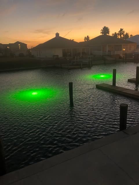 Saltwater Approved & Barnacle Burning Bulbs, Double Lamp Bright Green Underwater Fishing Light Kit, Dock & Fish Lights with 50' Cords (7,900 Lumens Each Bulb)