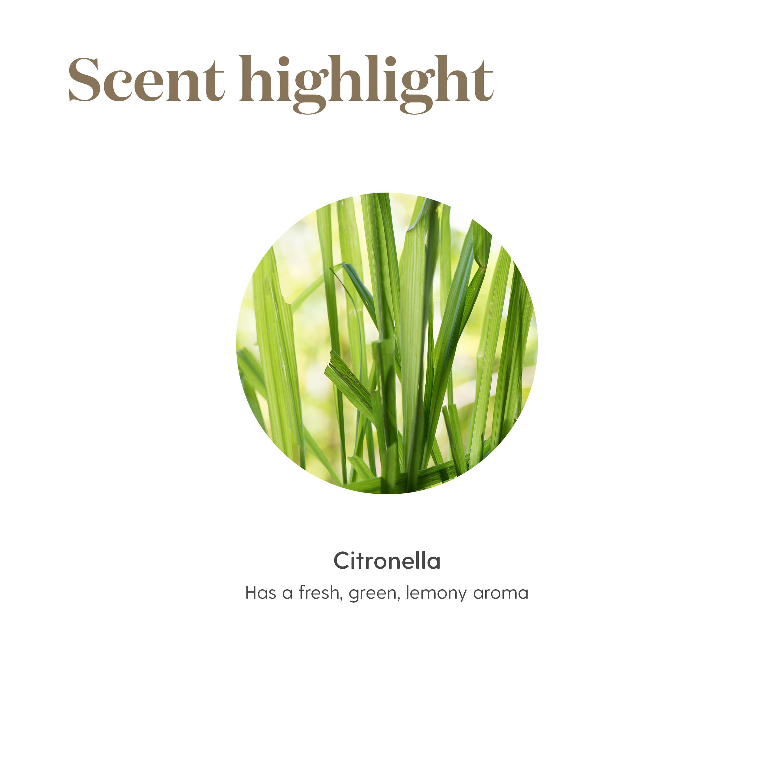 Essential Oil Citronella 15 ml Young Living Malaysia + Free Standard Shipping