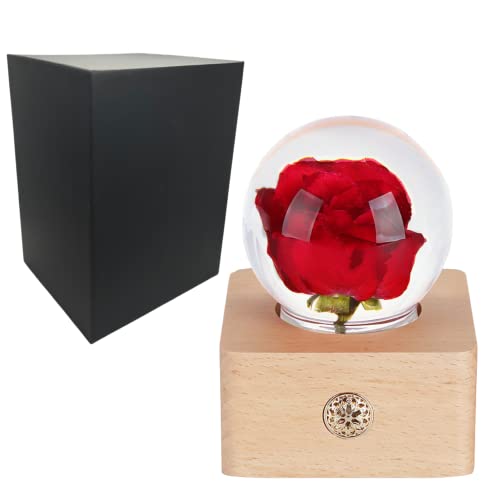 Ellington Gifts Real Preserved Flower Glass Ball Night Light | Dimmable Battery LED, Real Eternal Flowers, Birthday Gifts for Women Mom Girlfriend, Special Anniversary, Valentine's Day (Red Rose)
