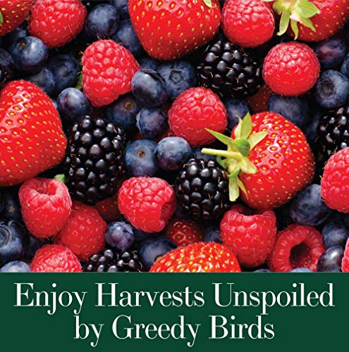 Dalen Bird X Protective Mesh Netting - Keep Birds and Pests Away from Your Garden β Non Toxic - Made in The USA - 14' x 14'
