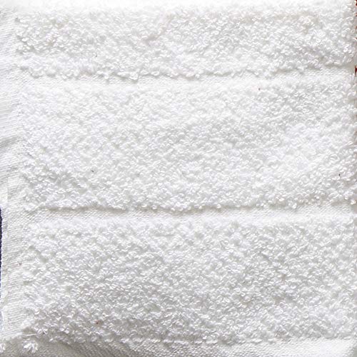 DII Basic Chef Collection, Assorted Terry Kitchen Towel Set, Dishcloth Set, Aqua, 6 Piece