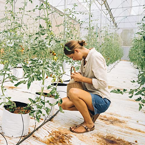 120 Pack Tomato Clips for String Plant Clips for Climbing Plants Supports Clips Garden Supplies Tomato Ties Plastic Tomato Plant Support Vegetables to Grow Upright Healthier