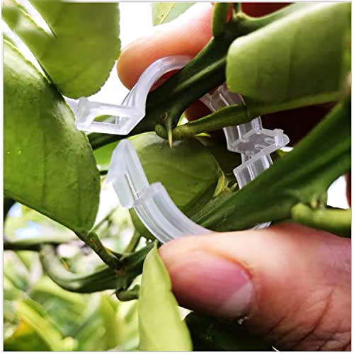 120 Pack Tomato Clips for String Plant Clips for Climbing Plants Supports Clips Garden Supplies Tomato Ties Plastic Tomato Plant Support Vegetables to Grow Upright Healthier