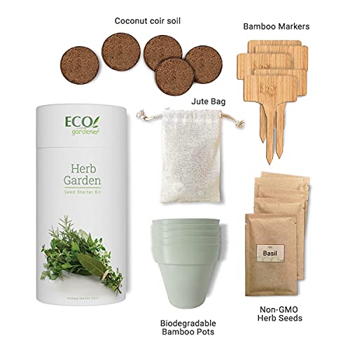 ECOgardener Herb Garden Kits - Indoor Herb Garden Kits - Herb Seed Kits for Indoor Gardening - Window or Kitchen Herb Garden Kits - 5 Pack + 2 Bonus Herbs