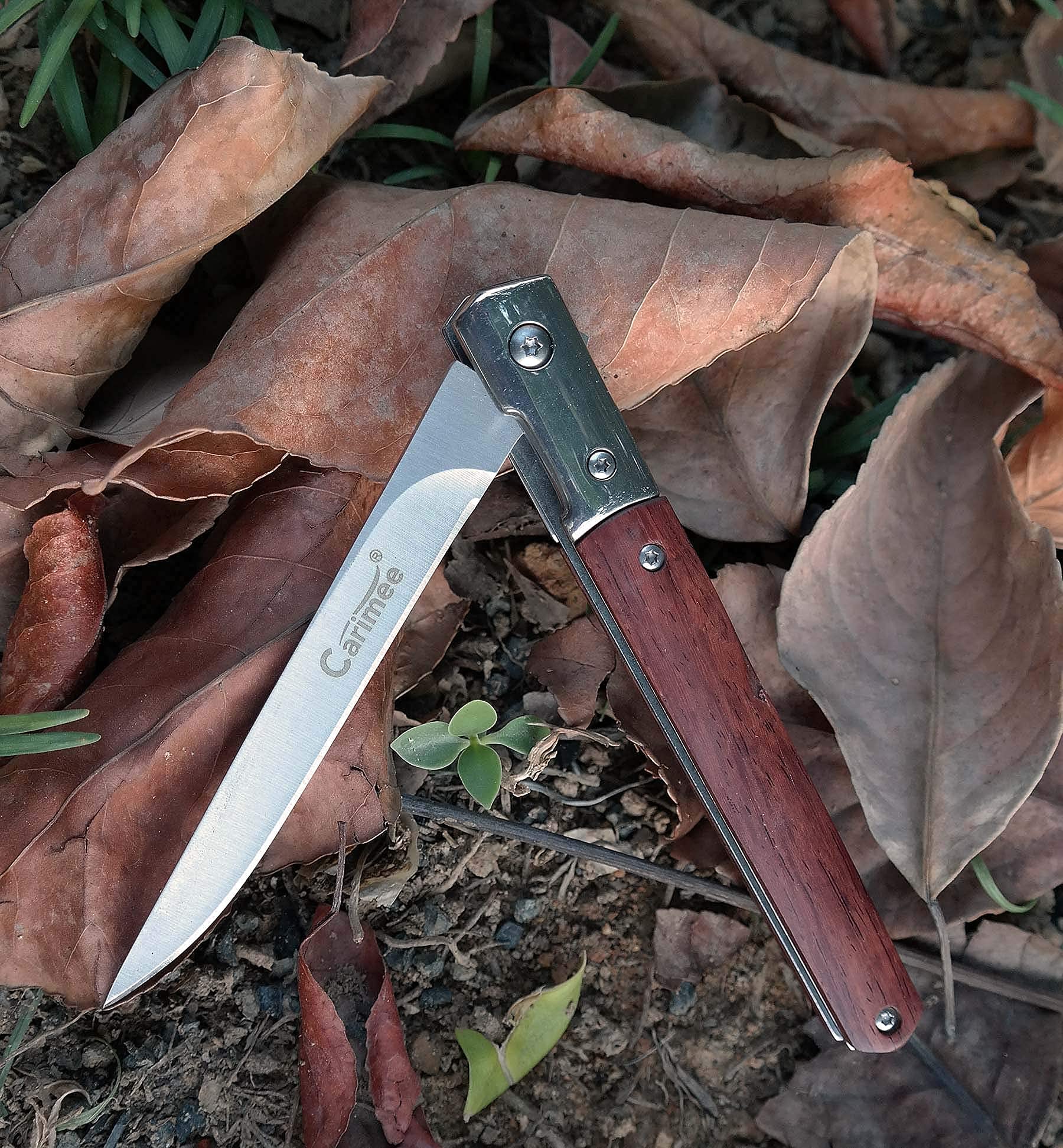 Carimee Slim Pocket Knife 4", Thick Blade Folding Knife - Perfect for Everyday Carry, Durable 7Cr17MoV Steel Blade, 2023 Gifts fo men women