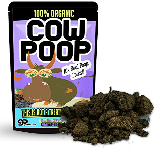 Gears Out Real Cow Poop Funny Easter Basket for Adults Weird Teen April Fools Pranks Silly Stocking Stuffers Crazy for Men White Elephant Manure Joke