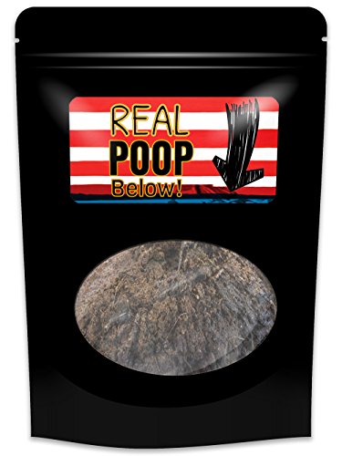 Gears Out Real Cow Poop Funny Easter Basket for Adults Weird Teen April Fools Pranks Silly Stocking Stuffers Crazy for Men White Elephant Manure Joke