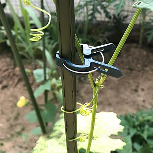 CYEAH 120 PCS Plant Clips, 2 Sizes Tomato Clips Garden Clips Plant Support Clips for Flower Vine Vegetables Tomatoes Climbing, Supporting Stems, Vines Grow Upright(Green)
