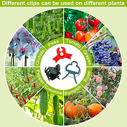 RSZBUMY 80pcs Mixed Plant Clips Variety for Tomato, Climbing Plants Support, Garden Clips for Tomato ect, Plant Training Clips, Orchid Clips